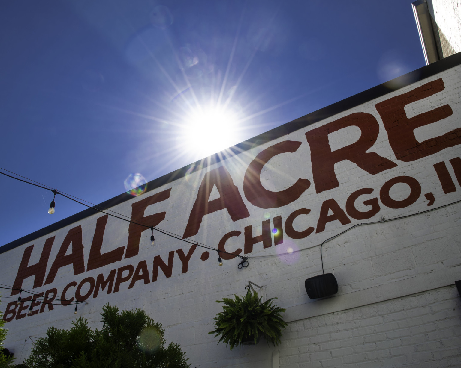 Homepage - Half Acre Beer