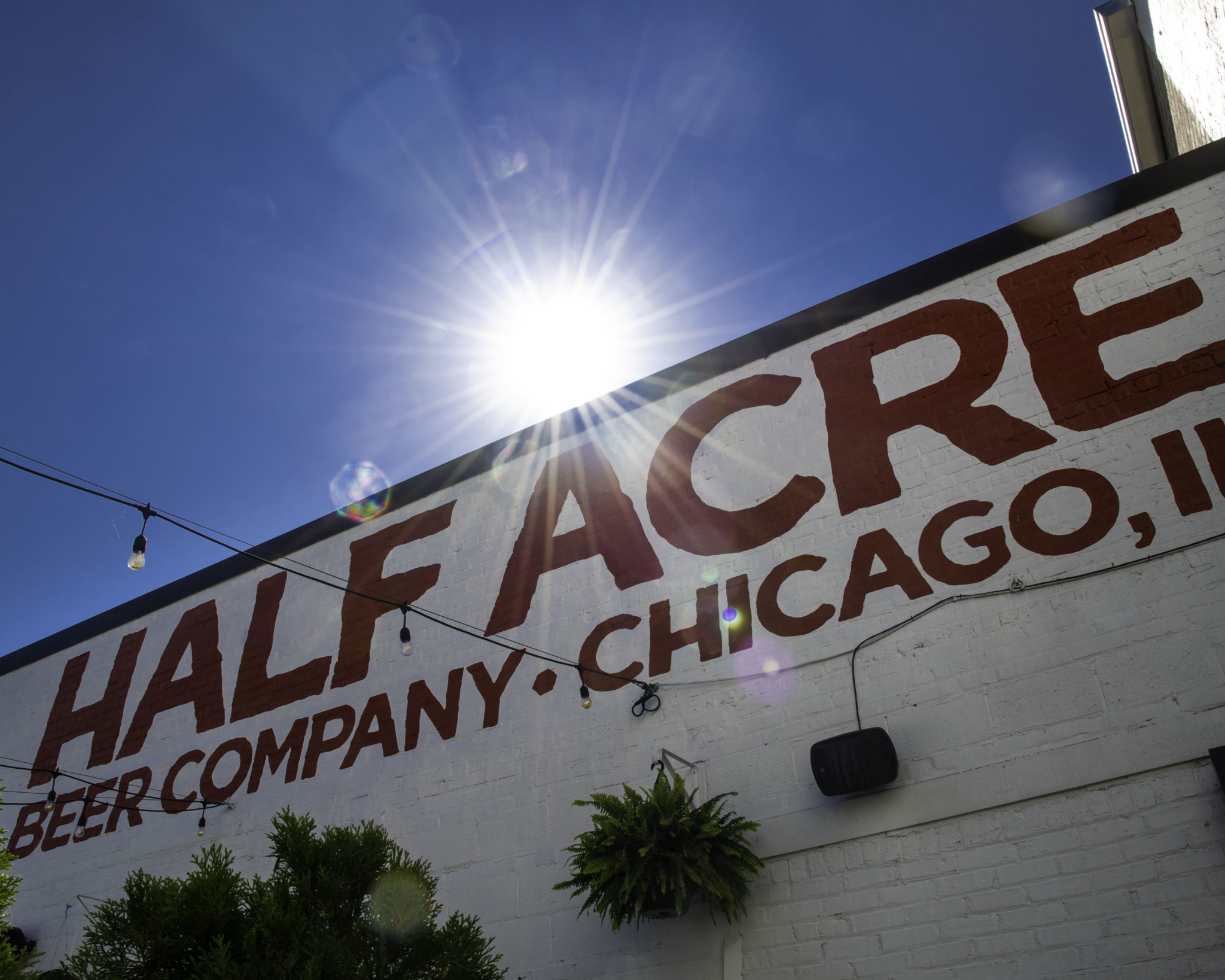 Visit Us - Half Acre Beer